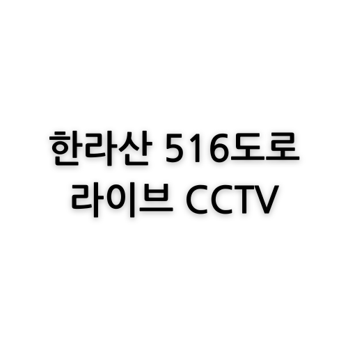 한라산 516도로 라이브 CCTV